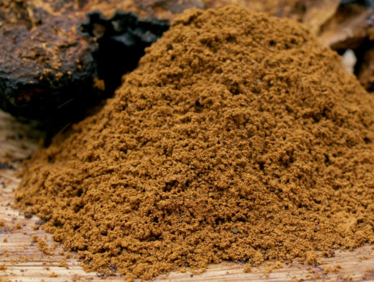 Ciuperca Chaga- Inonotus obliquus – Ciupercar.ro